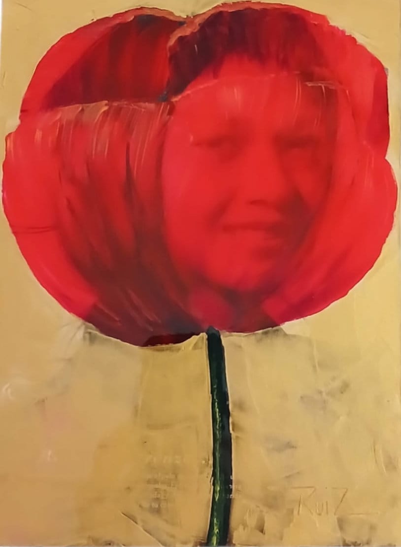 Amapola D2 Colarltis Amapola D2 Colarltis